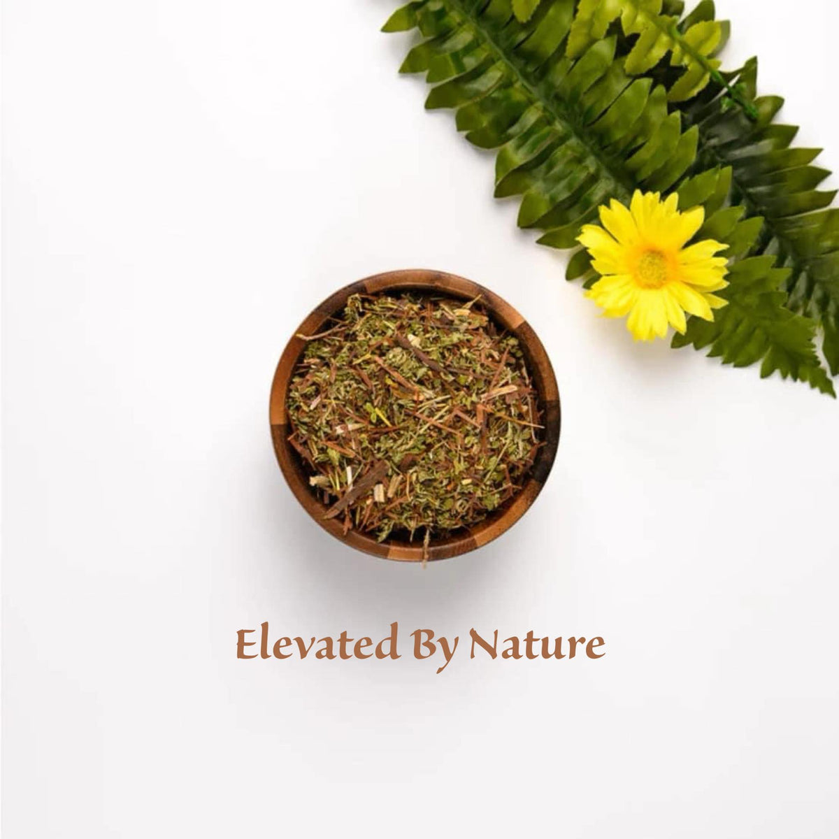 Collections – Elevated By Nature