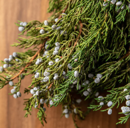 Fresh Cut Juniper & Berries – Elevated By Nature